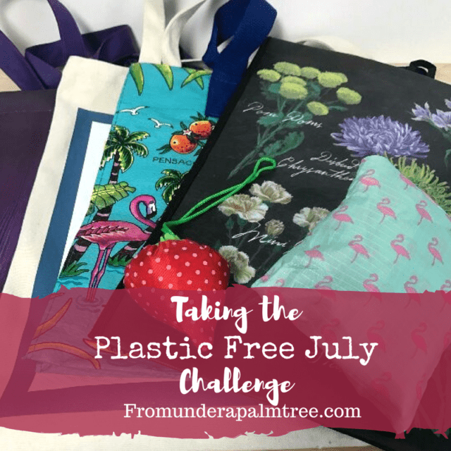Taking the Plastic Free July Challenge > From Under a Palm Tree