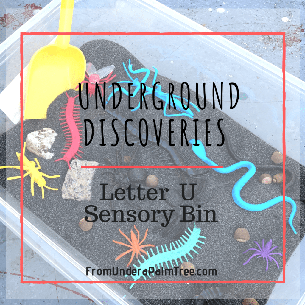 Underground Discoveries-Letter U Sensory Bin > From Under a Palm Tree