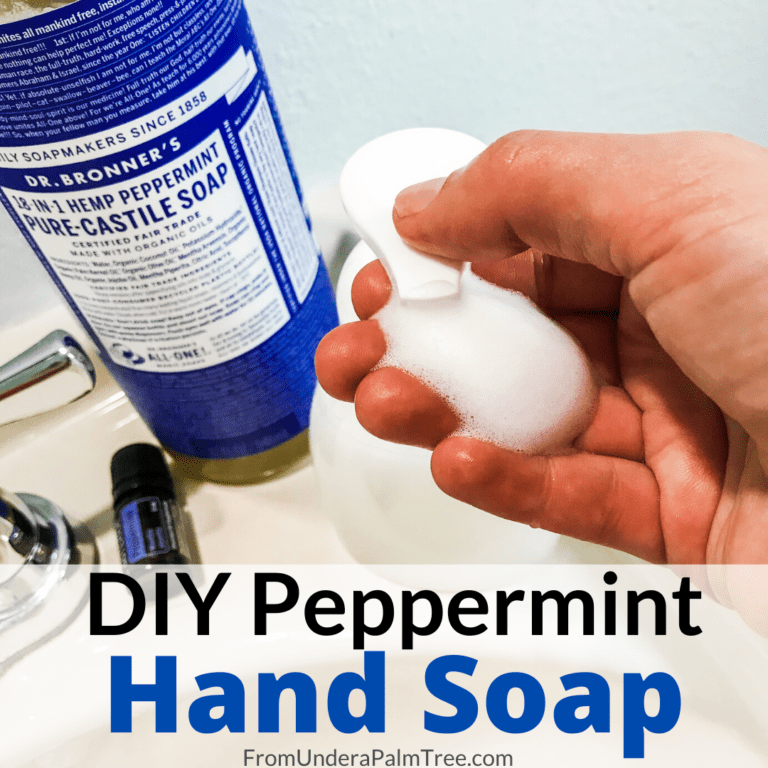DIY Peppermint Hand Soap > From Under a Palm Tree