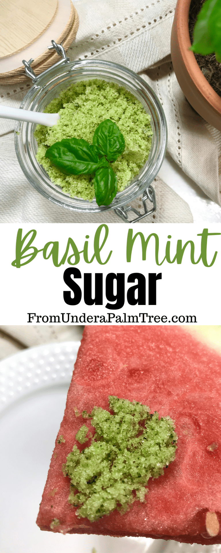 Basil Mint Sugar > From Under a Palm Tree