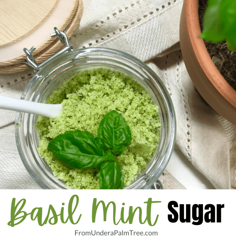 Basil Mint Sugar > From Under a Palm Tree