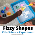 Fizzy Shapes Kids Science Experiment > From Under a Palm Tree