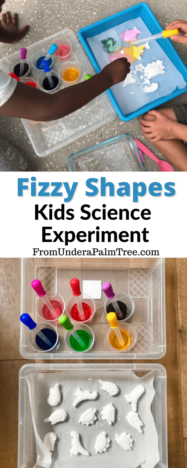 Fizzy Shapes Kids Science Experiment > From Under a Palm Tree