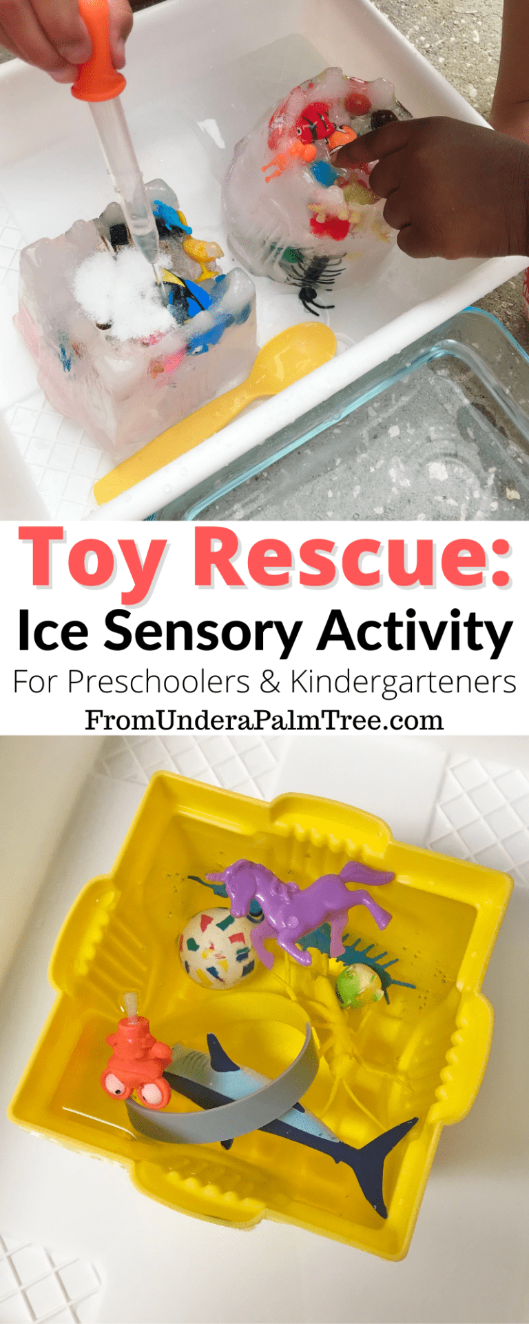 Toy Rescue: Ice Sensory Activity > From Under a Palm Tree