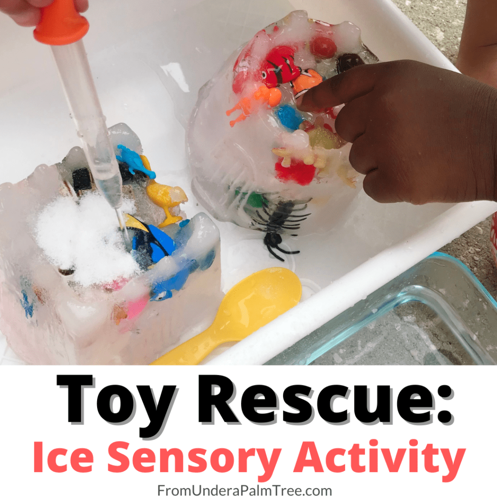 Toy Rescue: Ice Sensory Activity > From Under a Palm Tree