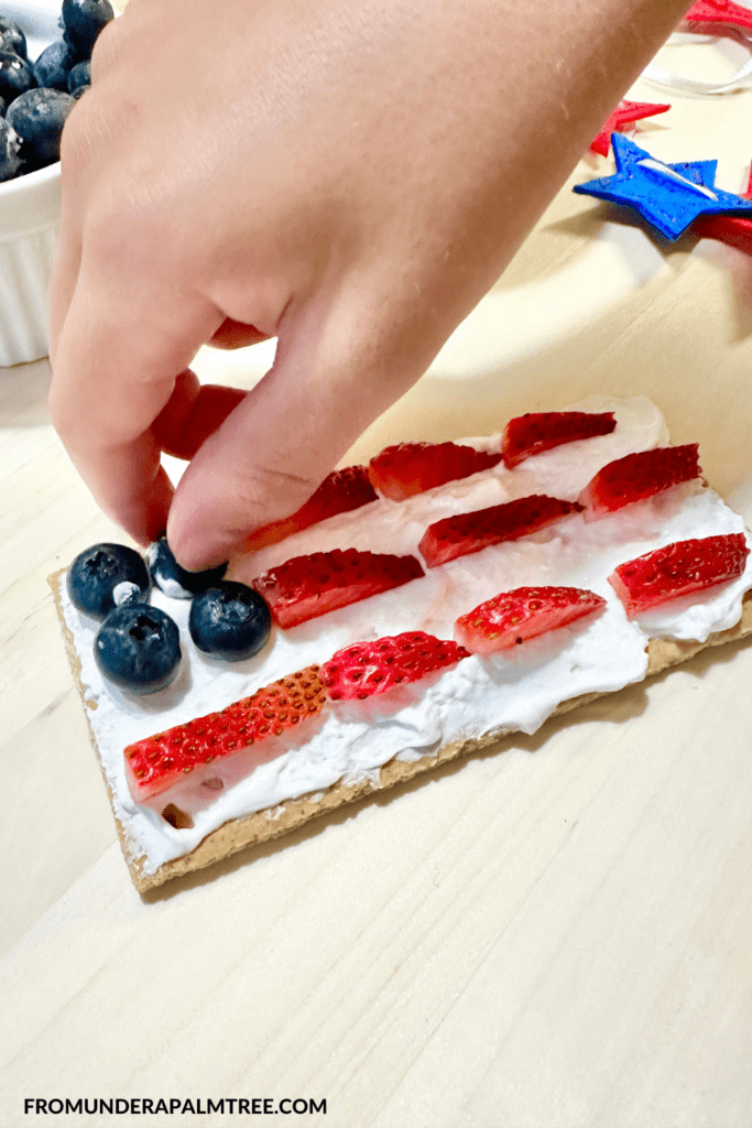 American Flag Graham Crackers > From Under a Palm Tree
