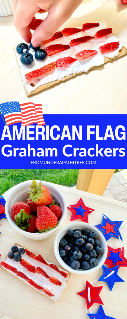 American Flag Graham Crackers > From Under a Palm Tree