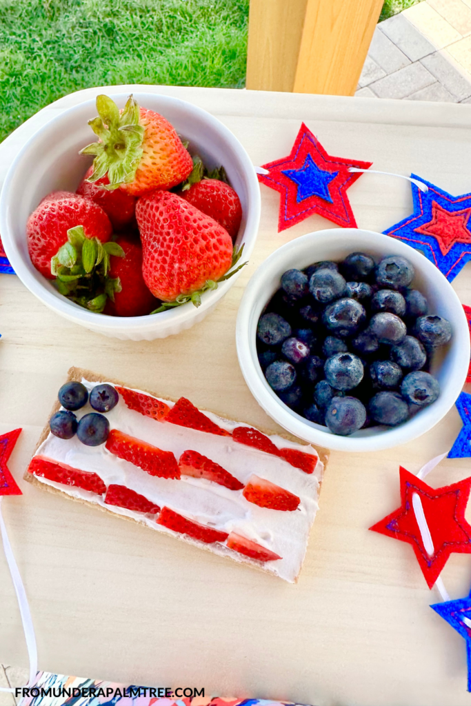 American Flag Graham Crackers > From Under a Palm Tree