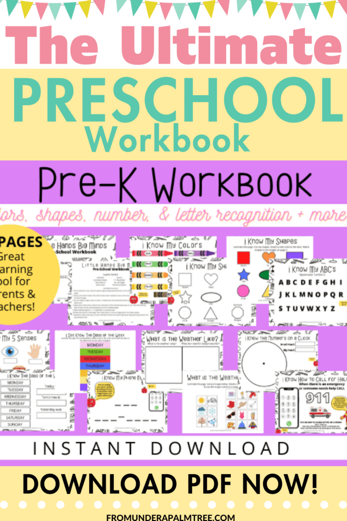 The Ultimate Preschool Workbook > From Under a Palm Tree