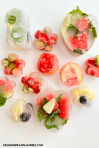 The Best DIY Flavored Ice Cube Combos > From Under a Palm Tree