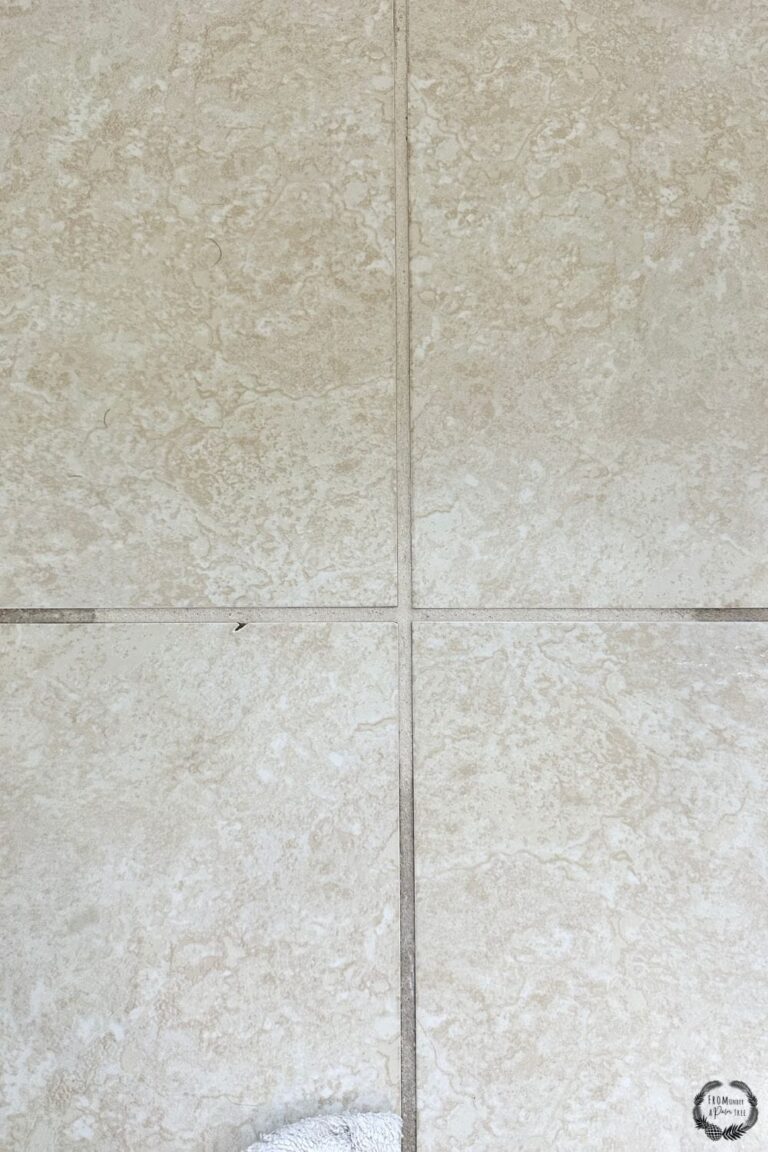 DIY Non Toxic Grout Cleaner > From Under a Palm Tree
