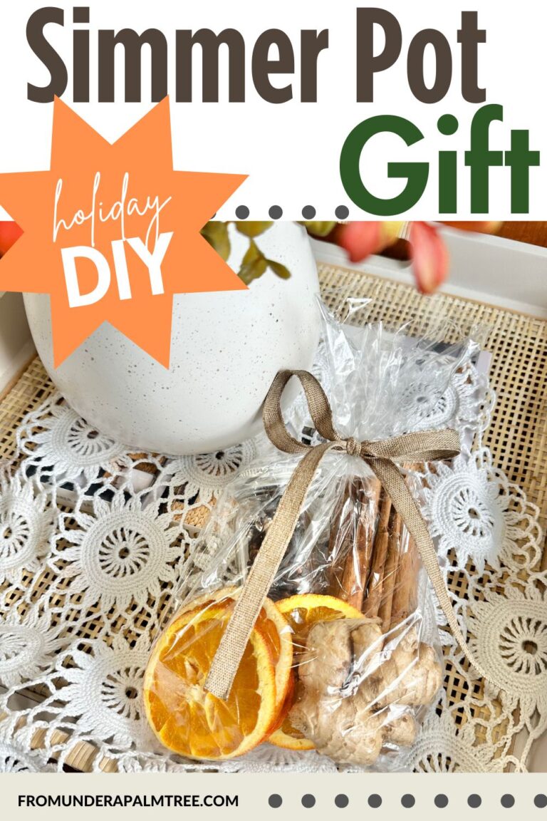DIY Simmer Pot Gift > From Under a Palm Tree