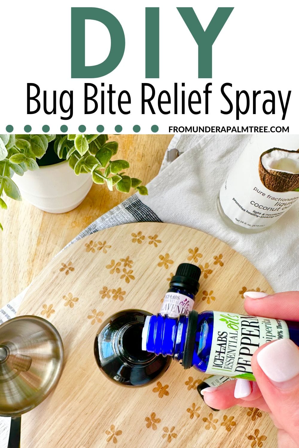 DIY Bug Bite Relief Spray > From Under a Palm Tree