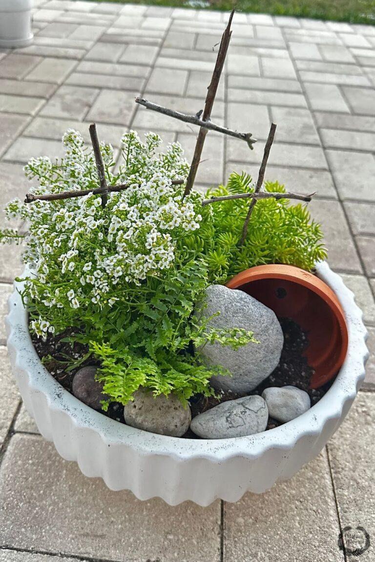 DIY Resurrection Garden > From Under a Palm Tree