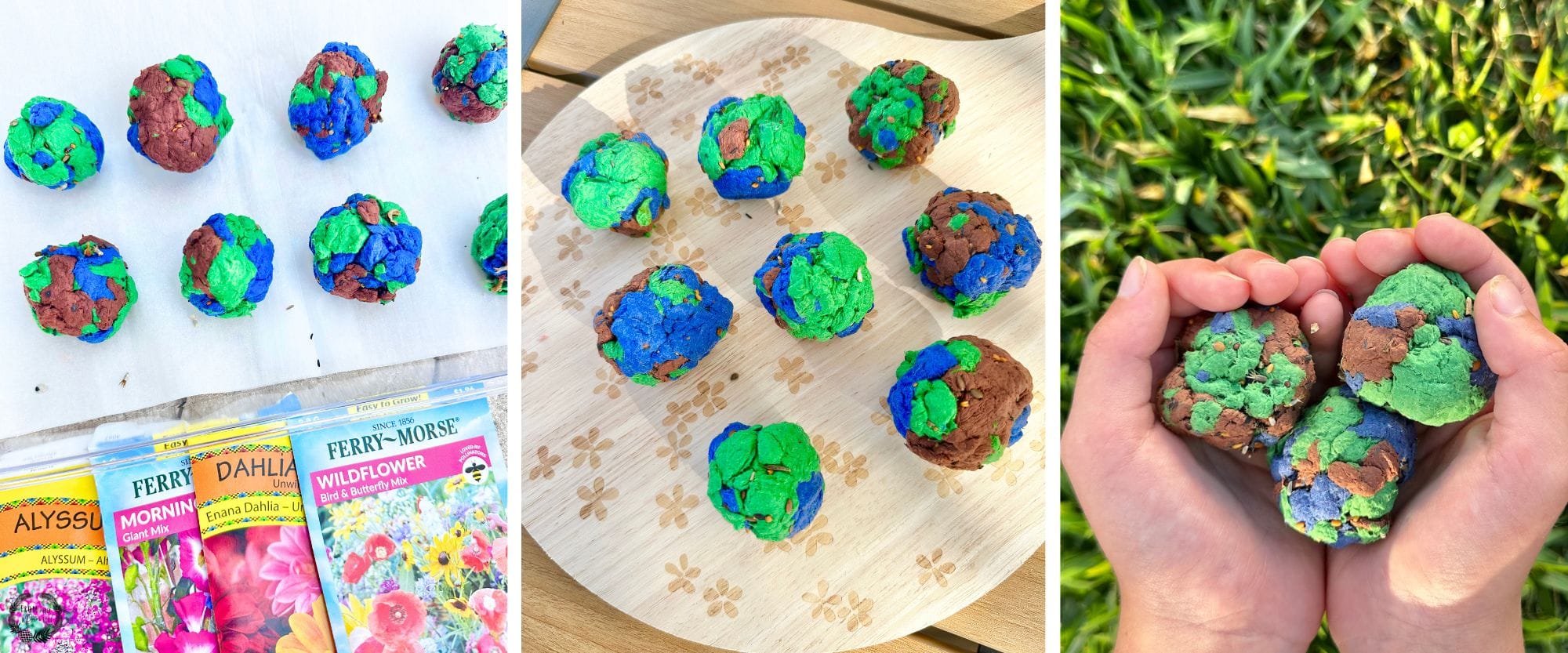 DIY Earth Day Seed Bombs > From Under a Palm Tree