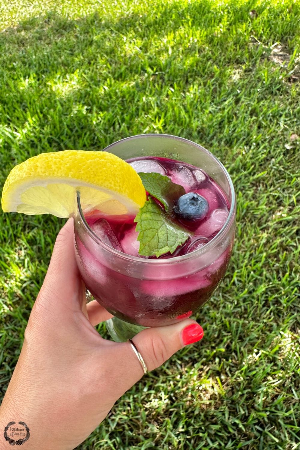 Lemon blueberry mint green tea recipe Archives > From Under a Palm Tree