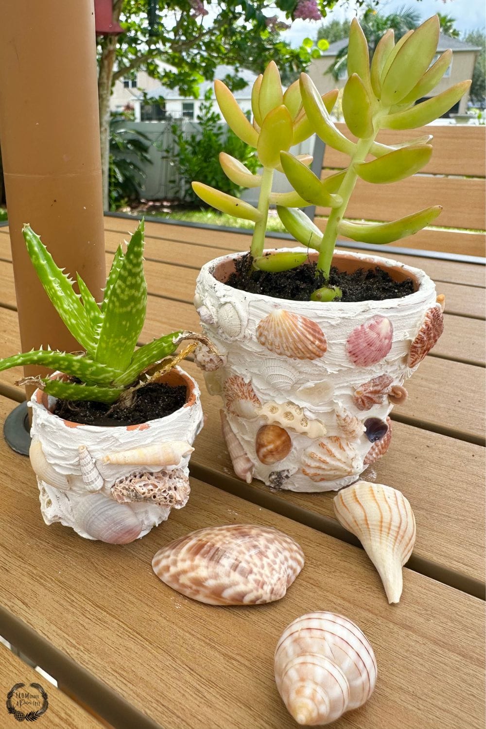 DIY Seashell Flower Pot > From Under a Palm Tree
